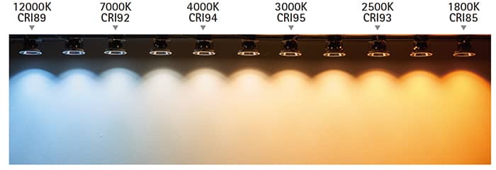 Endo Lighting Thailand Catalog | Shelly Lighting